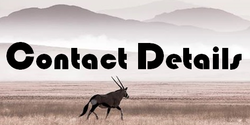 TIDiA – TOURISM & HOTEL DEVELOPMENTS & INVESTMENTS in AFRICA – TIDiA is ...