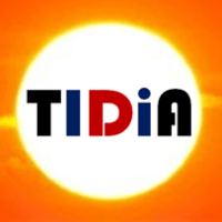 Contact – TIDiA – TOURISM & HOTEL DEVELOPMENTS & INVESTMENTS in AFRICA