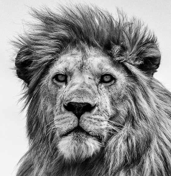 TIDiA – TOURISM & HOTEL DEVELOPMENTS & INVESTMENTS in AFRICA – TIDiA is ...